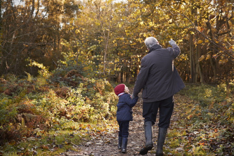 10 reasons to go for a walk (and 5 more reasons to walk in nature ...